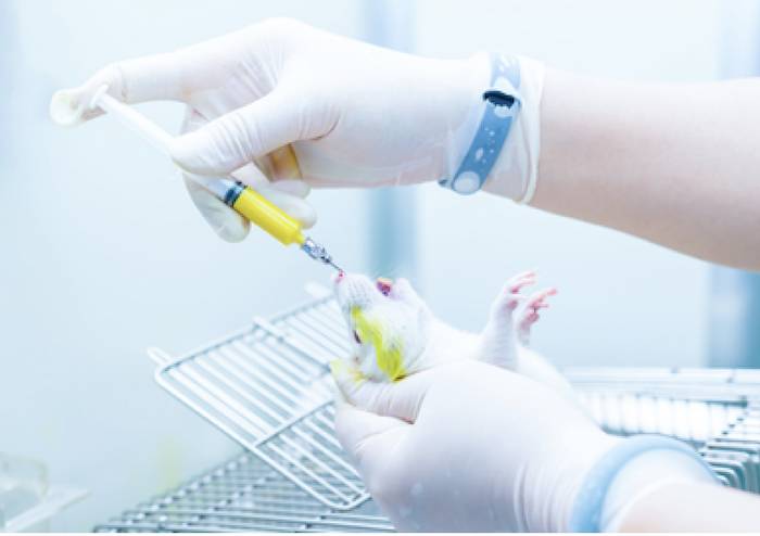 New FDA Commissioner needs to hear from you about animal testing