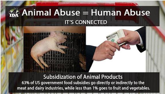 Animal Abuse = Human Abuse - An Animal Rights Article from all ...