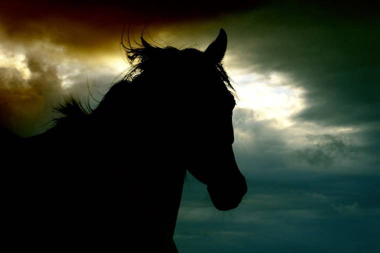 Eight Belles — racing 10 years on