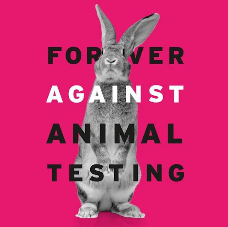 Opposition Against Animal Testing Grows A Little opposition-against-animal-testing-grows-a-little
