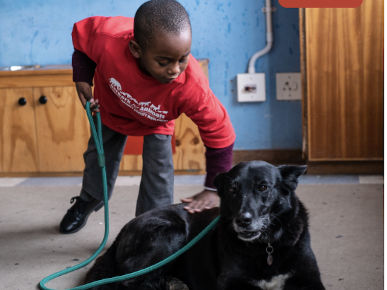 Poor African Children Learning to Love Dogs