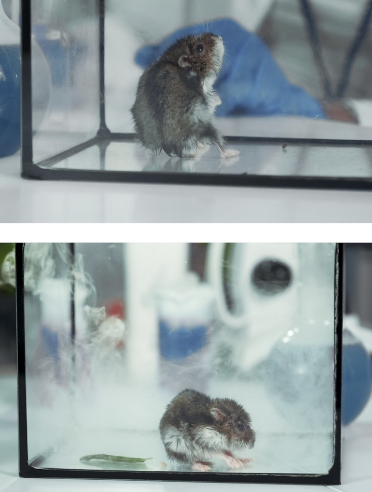 The Humane Research and Testing Act of 2020 (H.R. 8633) has Been ...