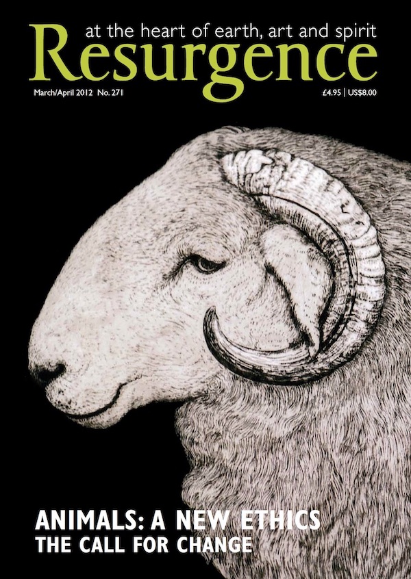 Resurgence: at the heart of earth, art and spirit