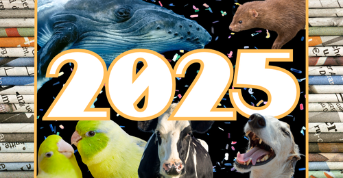 Some Good News and Victories for Animals in 2025