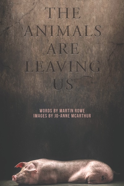 The Animals are Leaving Us By Martin Rowe
