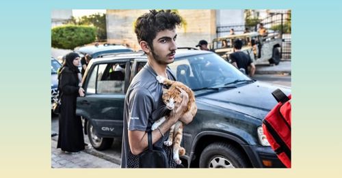 Animals Lebanon: Why I Donated to Them Today