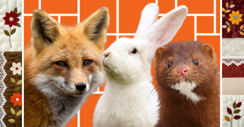 Etsy to Ban All Fur Sales