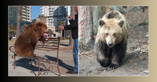 Jeta's Journey to Happiness
