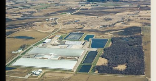 COP28 Climate Conference To Serve Mostly Vegan Menu