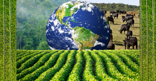 “We Are Eating the Earth” By Michael Grunwald