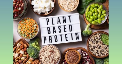 Be Vegan. Make animal-free protein the norm in 2024