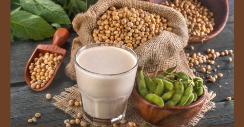 Mythbusting Soy - Part 1: Women’s Health And Hormones