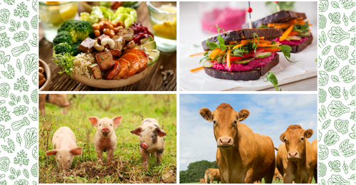 The Science & Benefits of Plant-Based Eating