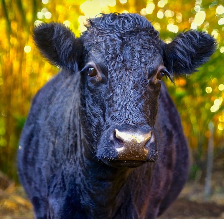 Dorothy Celebrates her Eighth Anniversary of Freedom