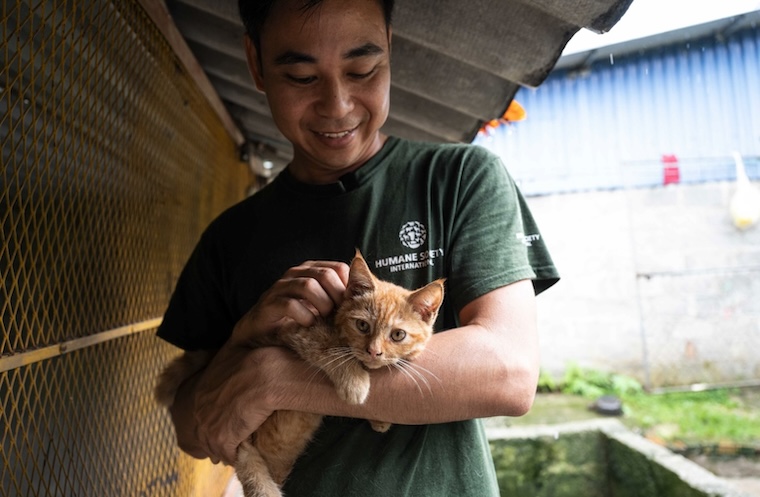 Change is possible: cat meat farmer in Vietnam leaves the trade and ...