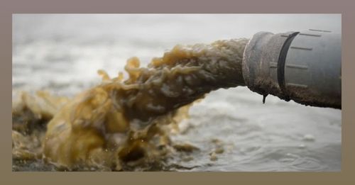 Tyson Foods dumps millions of pounds of toxic slaughterhouse pollutants ...
