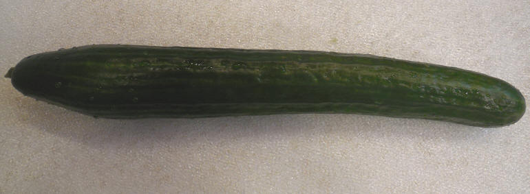 Cucumber, English Seedless Burpless - Ingredients Descriptions and Photos