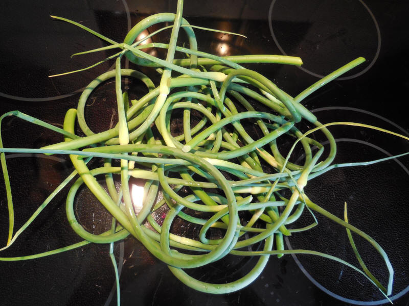 Garlic Scapes - Ingredients Descriptions and Photos
