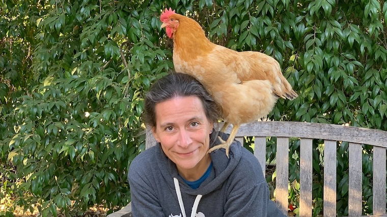 Do chickens like attention?