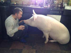 Esther the Wonder Pig Will Change Your Life: Animal Stories from all ...