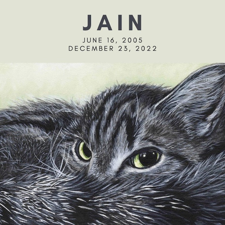 Jain and Kiwi