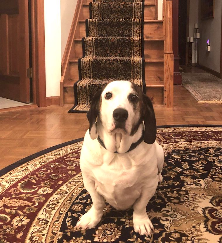 My Little Boy, Winston