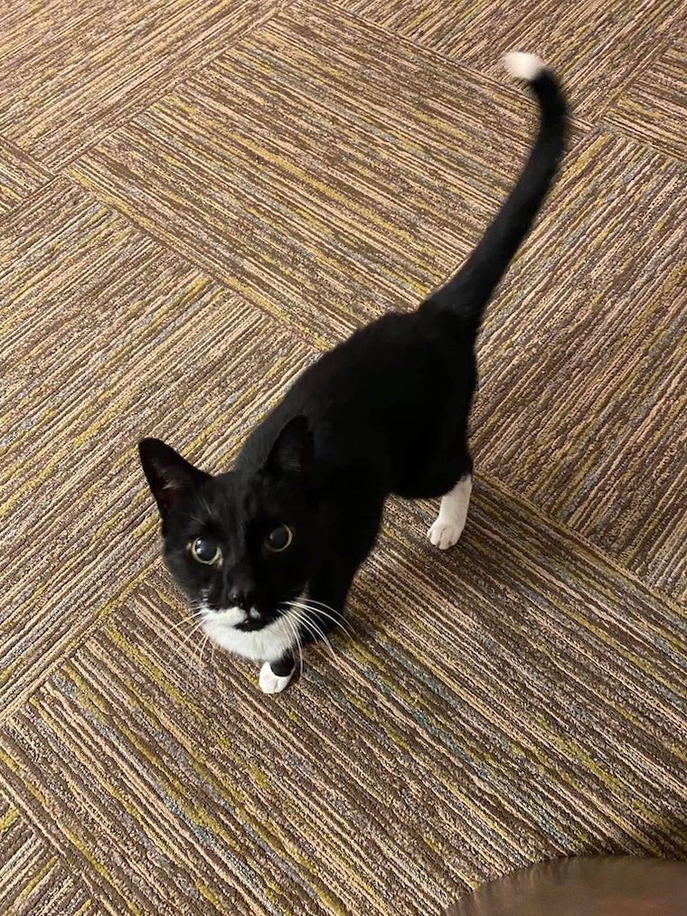 Our Beloved Oreo