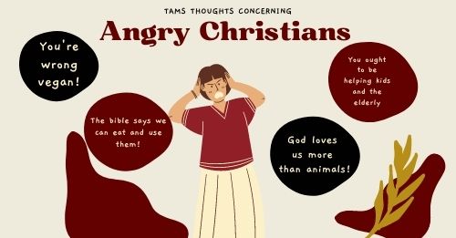 A Christian Vegan's Thoughts about Angry Christians