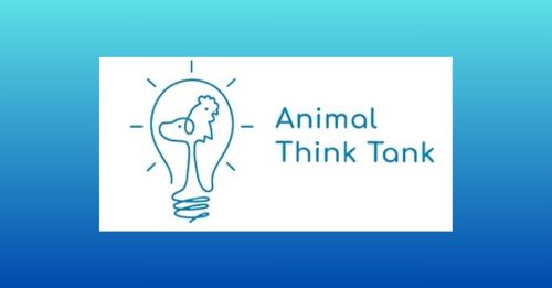 Index of /strategies/img