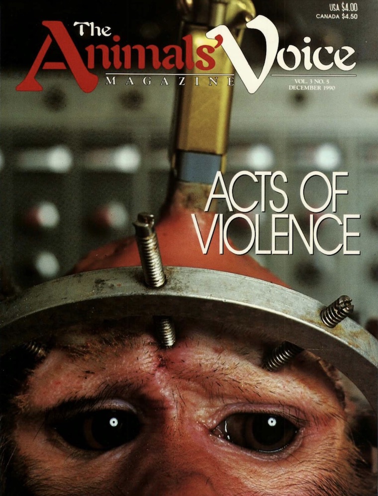 The Animals Voice Magazine: Back Issues Are Now Free Online!