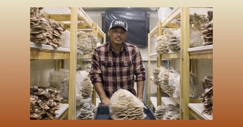 This chicken factory farm has been transformed into a hub for ...