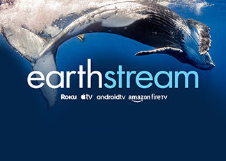 EarthStream: Streaming Platform Supporting Animal Non-Profits Debuts