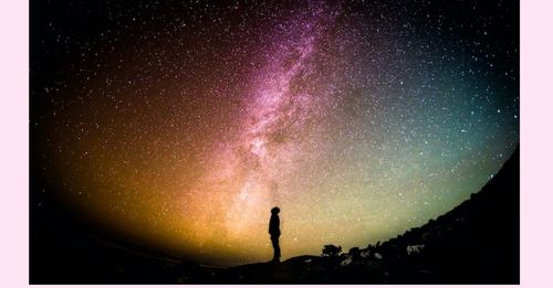 Fostering Critical Thinking at Your Animal Sanctuary