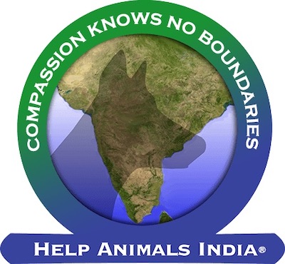 Help Animals India 2022 Winter Newsletter