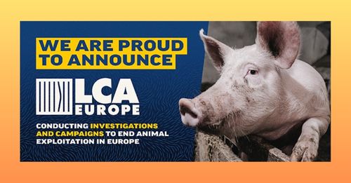 We Are Proud to Announce LCA Europe!