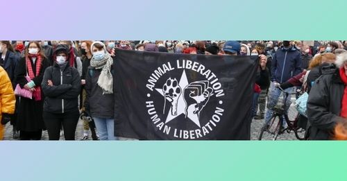 One Struggle, One Light: Animal Liberation, Human Rights