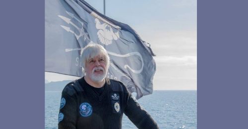 Resignation of Sea Shepherd Founder Captain Paul Watson from Sea ...