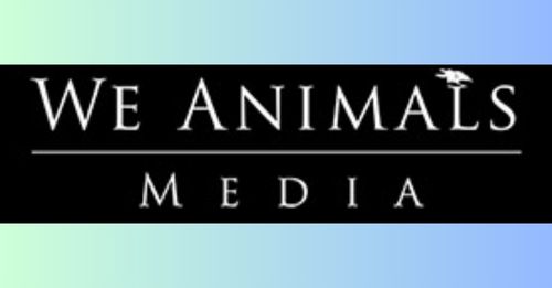 How you made impact in 2023 for We Animals Media