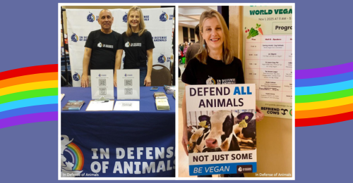 World Vegan Month Advances Solidarity With Action & Truth Sharing