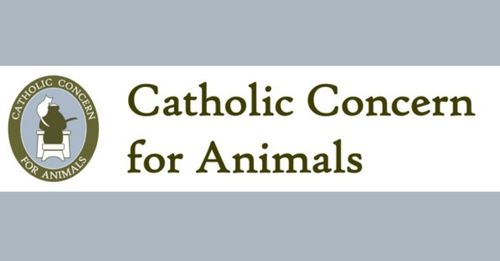 CCA Chair’s Response to Pope Francis’ Comments on the Family and ...