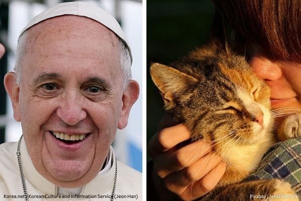 Pope Francis Urged to Reconsider Comments on Human Children vs. Animal ...